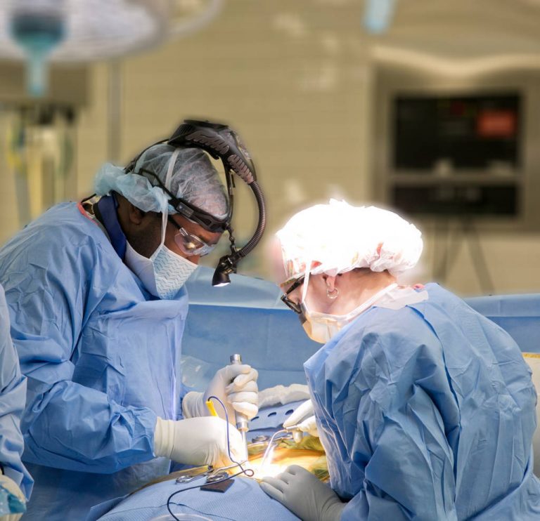 Services » Hamilton Orthopedics, Spine & Sports Medicine